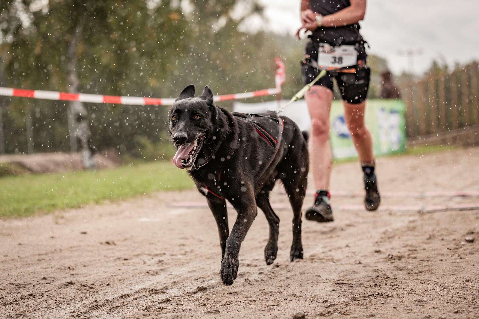 Warenkorb | Underdog Fotografie - Realisiert mit Pictrs.com